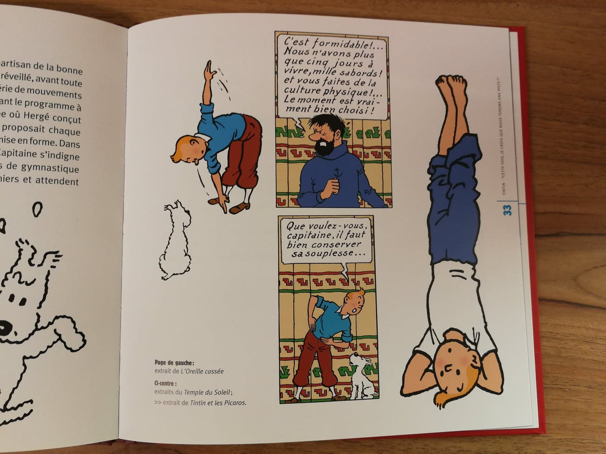 Livre personnage Tintin Michael Farr Moulinsart 2013 28930 – La Marque Zone