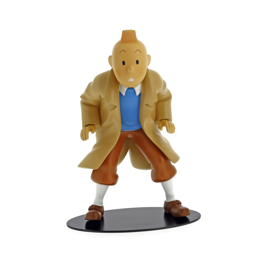 Tintin Face